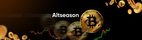 Altseason: o que é, index e como identificar - Foxbit