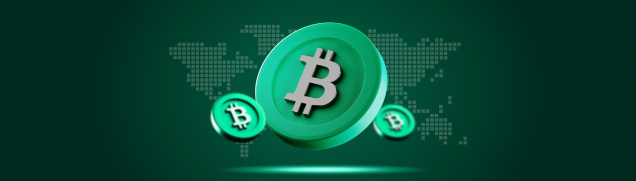 Bitcoin Cash (BCH): O Que é, Como Funciona e Sua Origem como Fork do Bitcoin - Foxbit