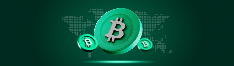 Bitcoin Cash (BCH): O Que é, Como Funciona e Sua Origem como Fork do ...